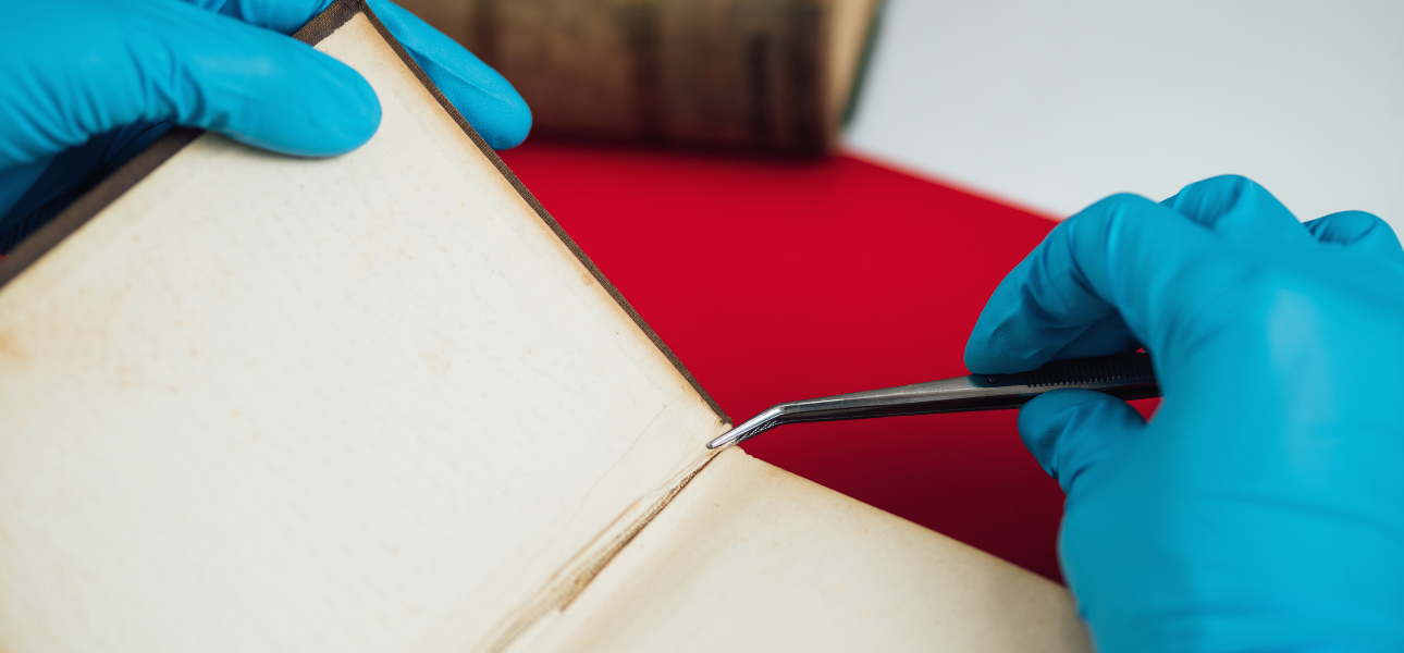 Cómo reparar libros dañados en casa - Blog Hamelyn